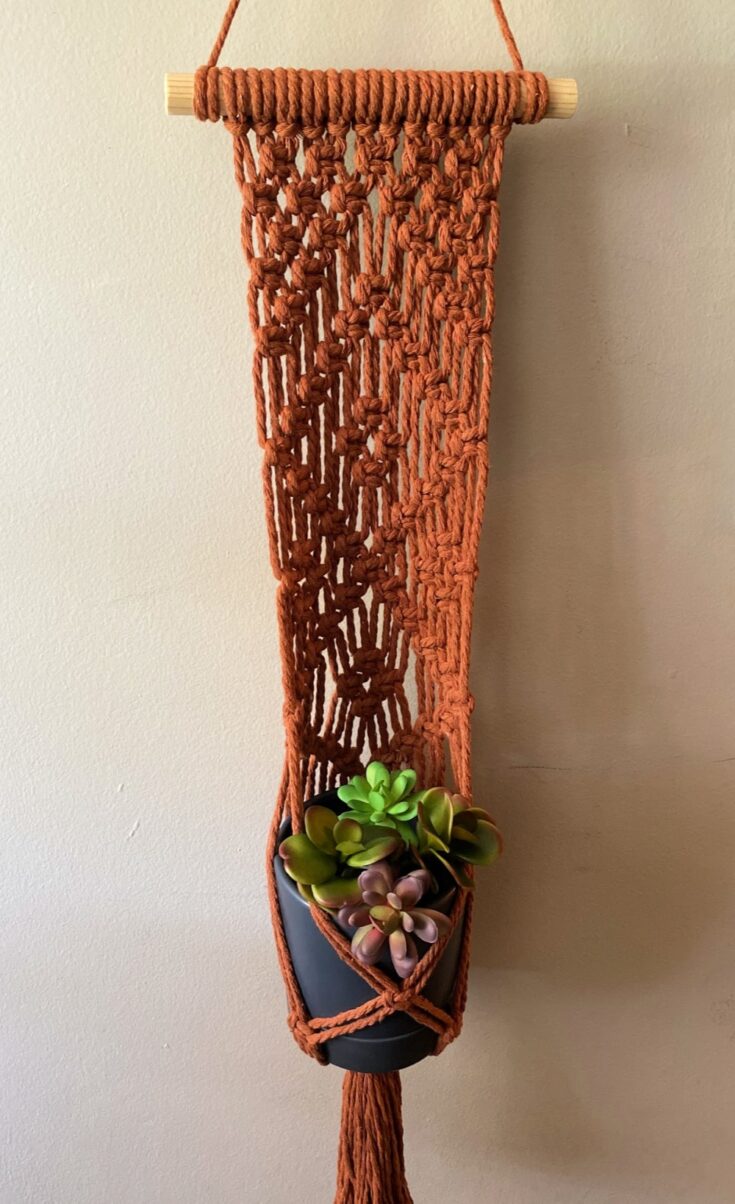 Macrame Plant Hanger DIY Wall Hanging // Tutorial + Video! | Marching North