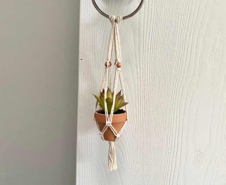 Mini Macrame Plant Hanger DIY // Easy Tutorial + Video! | Marching North