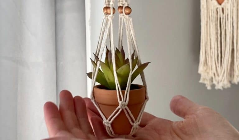 Mini Macrame Plant Hanger DIY // Easy Tutorial + Video! | Marching North