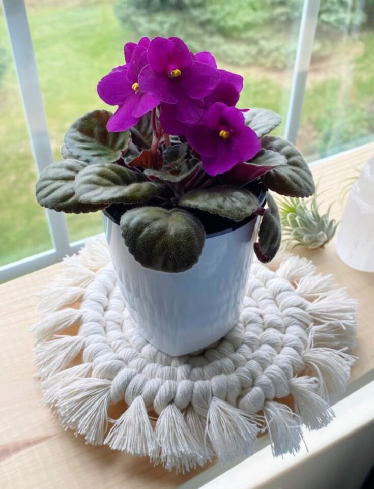 Chunky Round Macrame Coasters (Pattern & Tutorial!) | Marching North