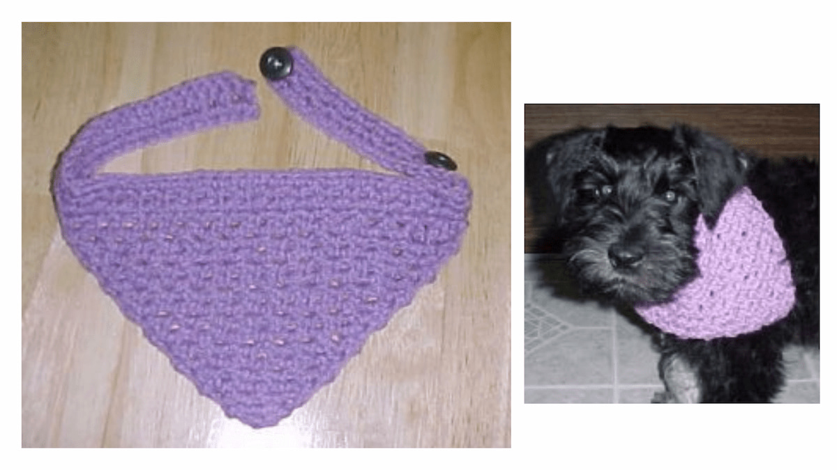 How to Crochet a Dog Bandana (16 Cute Patterns!) | Marching North